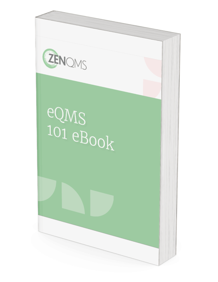 eQMS 101 eBook